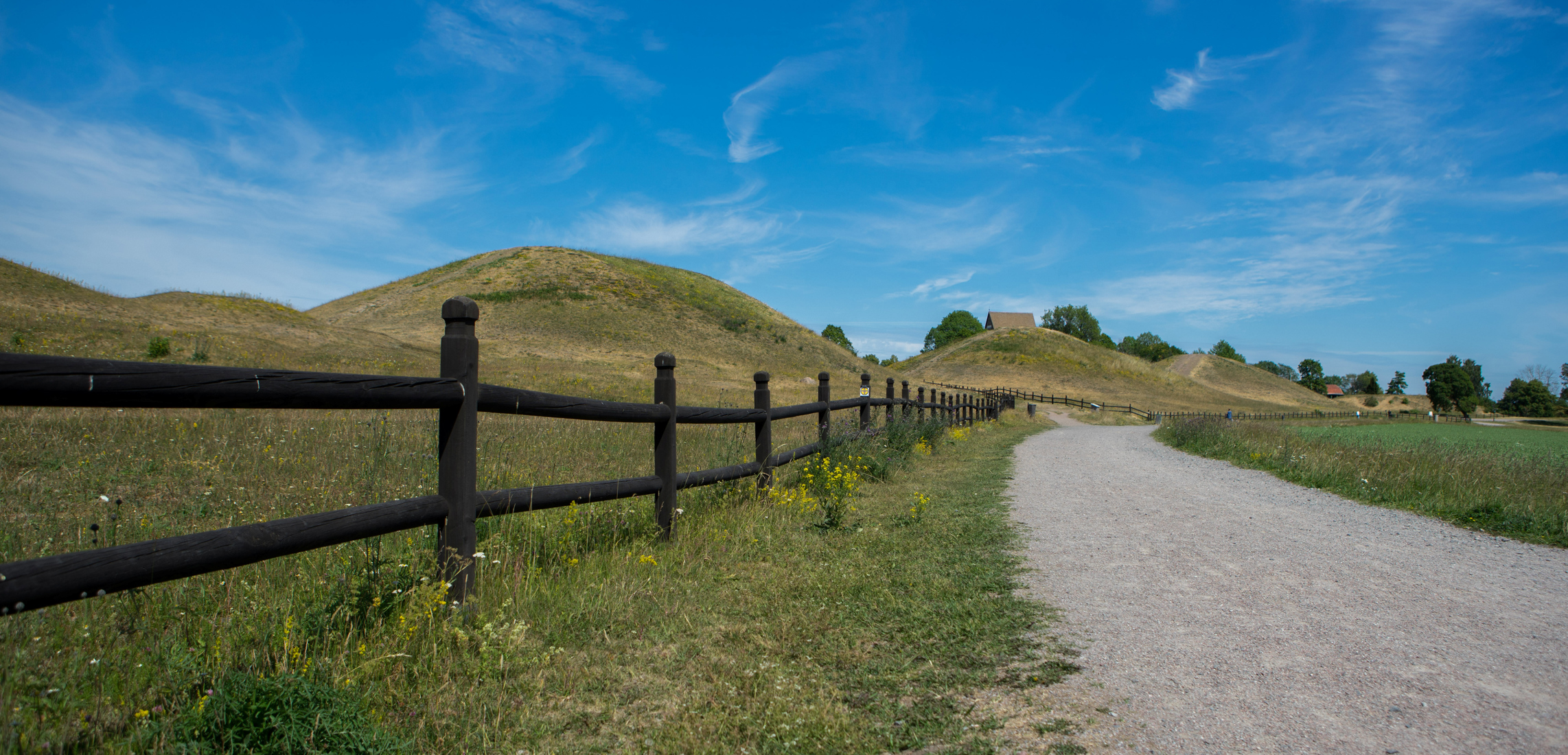 Hyresgäst i Gamla Uppsala museum och högar | SFV